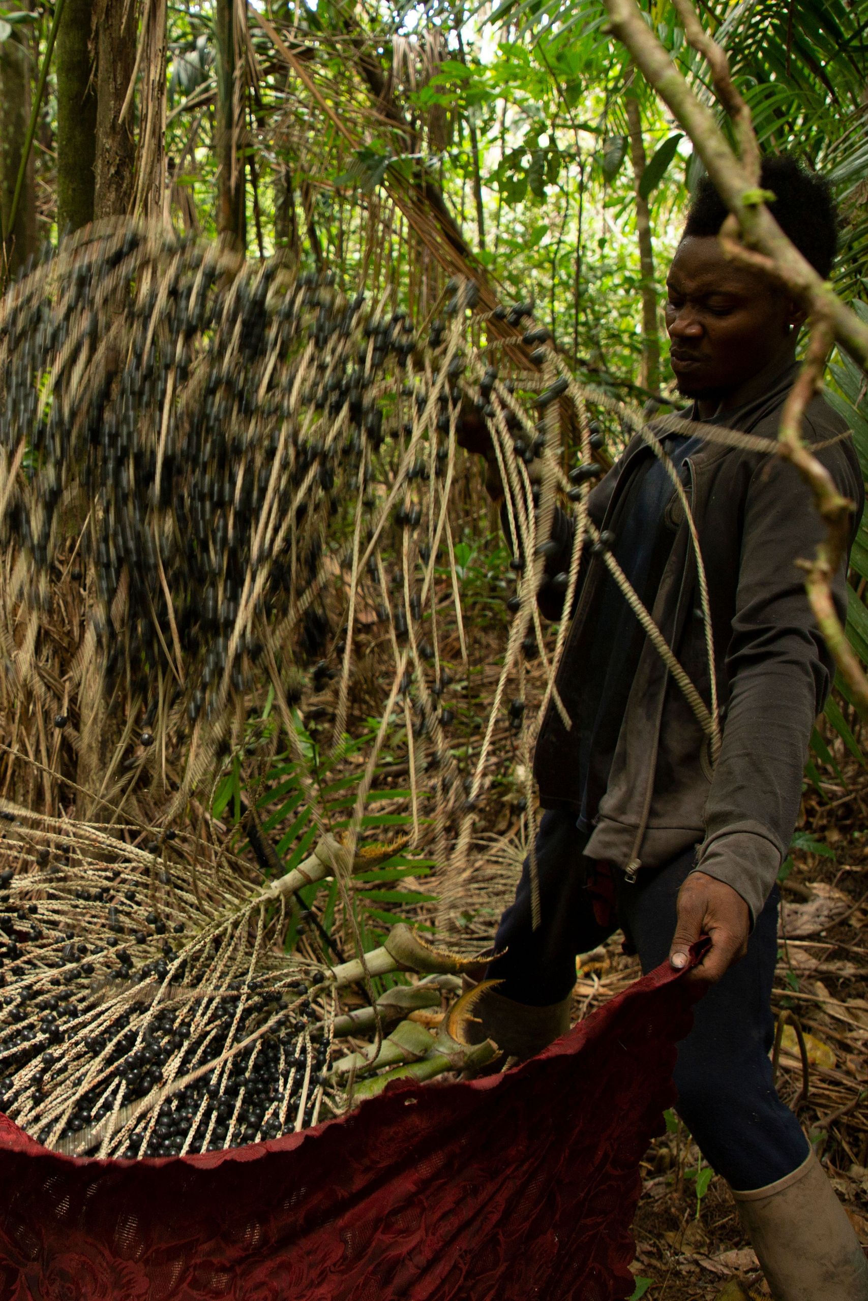 Roosje Verschoor: The production process in Suriname